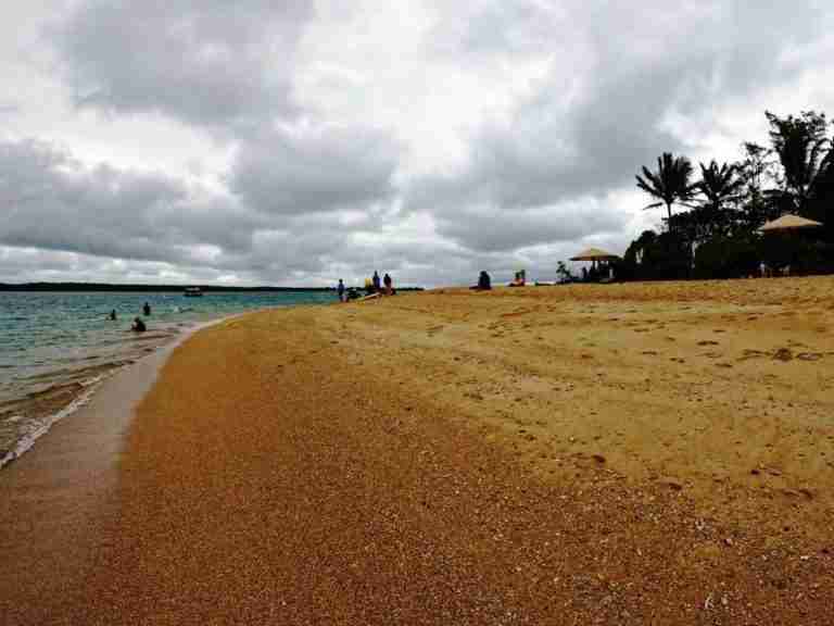 Swimming with Turtles in the Lovely Low Isles - Muy Linda Travels