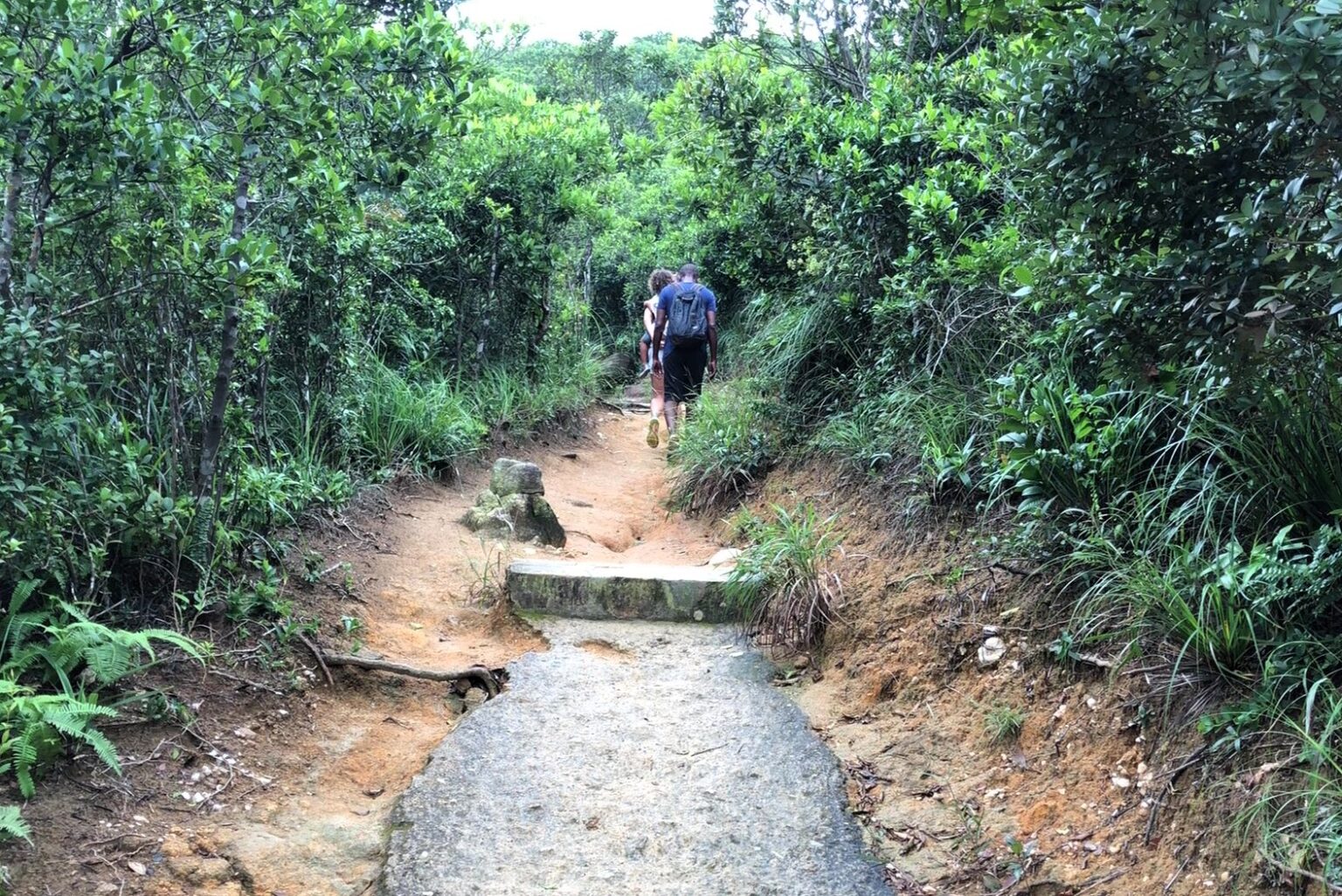 The Hong Kong Dragon's Back Hike: A Beautiful Coastal Walk - Muy Linda ...