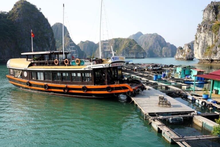 Cat Ba Island or Halong Bay: Which Is Better in 2026? - Muy Linda Travels