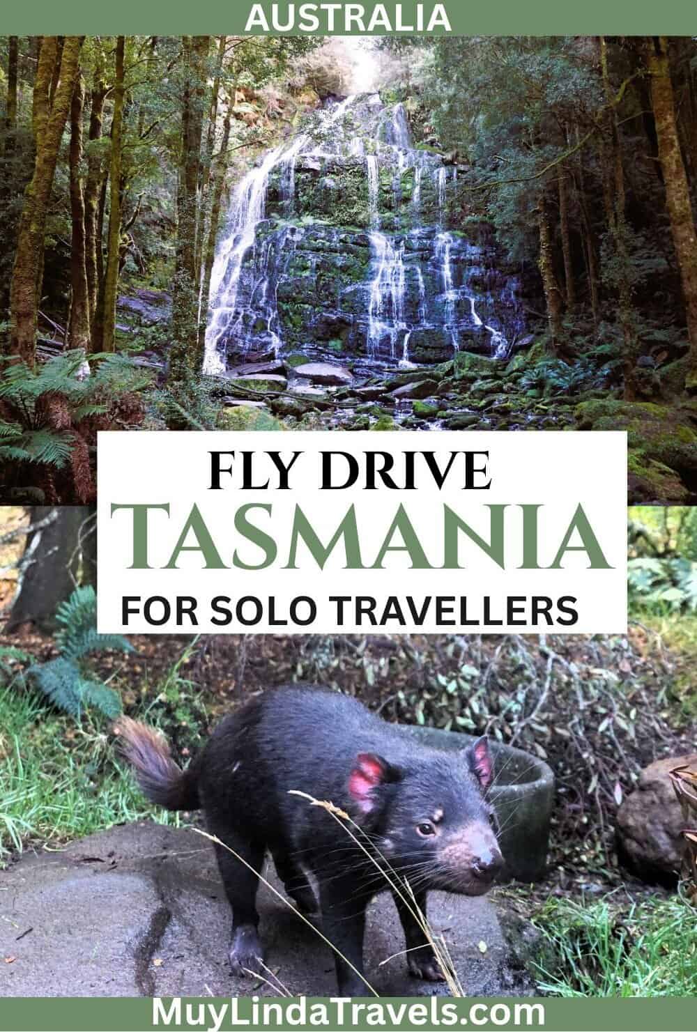 Fly Drive Tasmania Solo: A Wilderness & Wildlife Adventure - Muy Linda ...