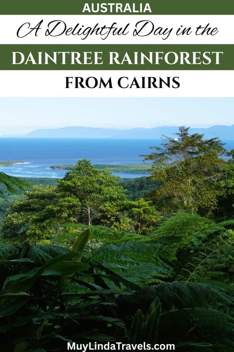 Visiting the Delightful Daintree Rainforest from Cairns - Muy Linda Travels
