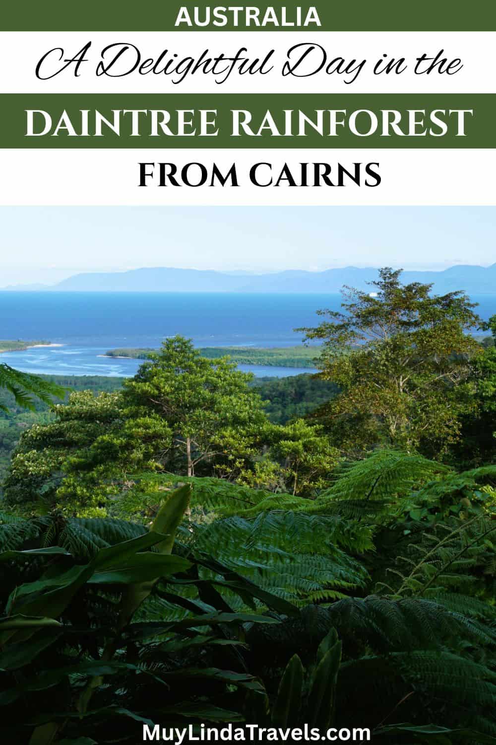 Visiting the Delightful Daintree Rainforest from Cairns - Muy Linda Travels